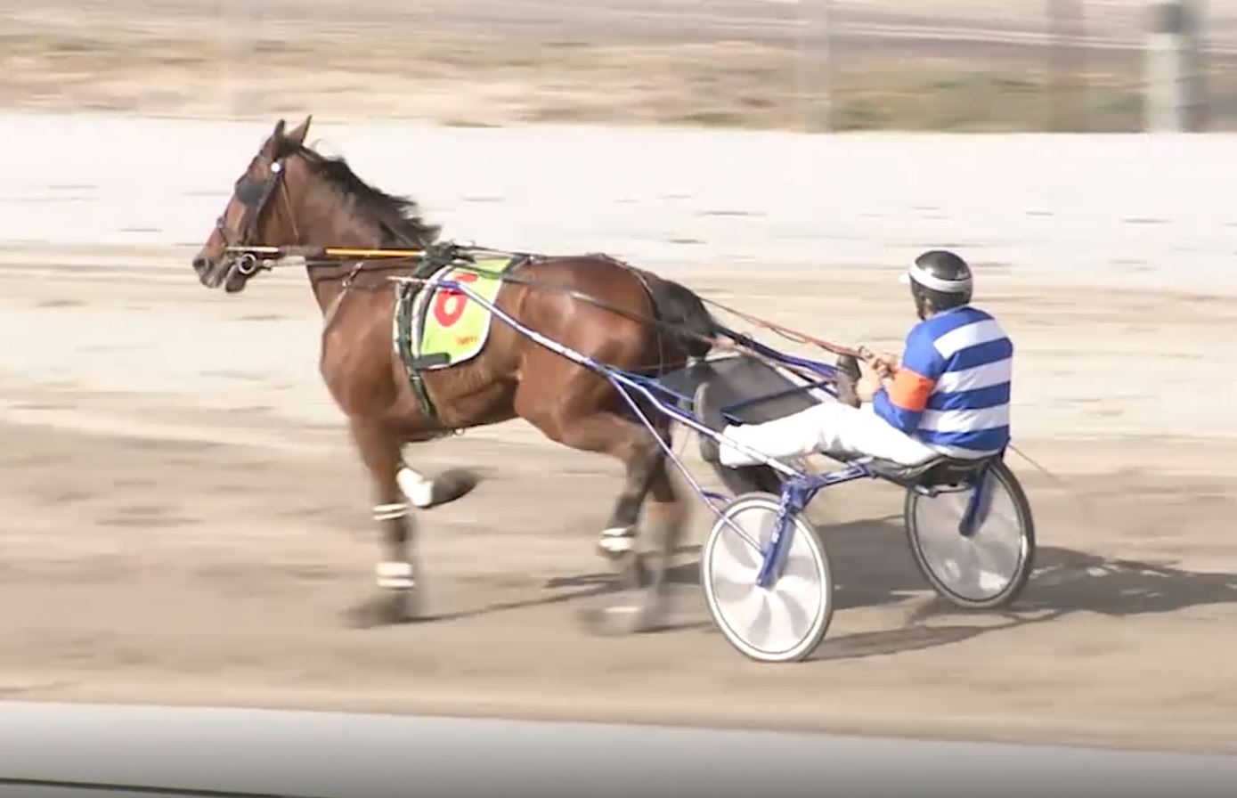 Knee reco’s done so Mark and Patrick are back in business - The Trots